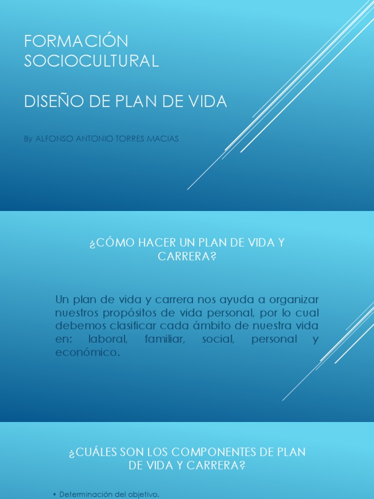 Plan de Vida Alfonso Torres | PDF