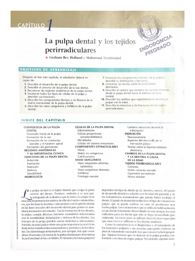 Cap 1 Pulpa Dental y Tejidos Perirradiculares | PDF