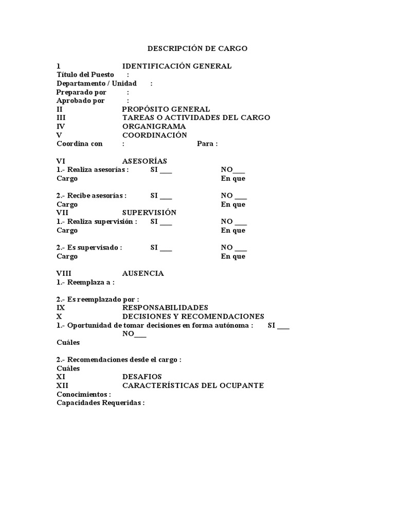 Formato+Descripción+de+Cargo | PDF | Economias | Business