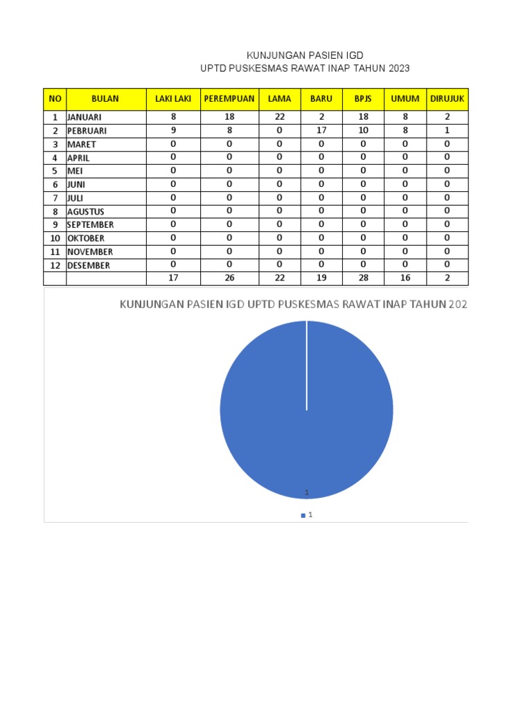 Laporan Kunjungan Pasien Igd Bulan Januari - Februari | PDF