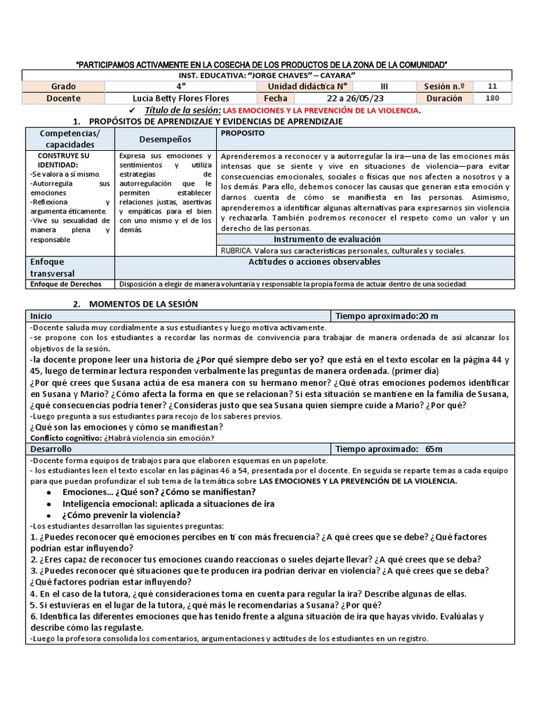 Sesion #11 DPCC 4° 2023 | PDF | Las emociones | Evaluación