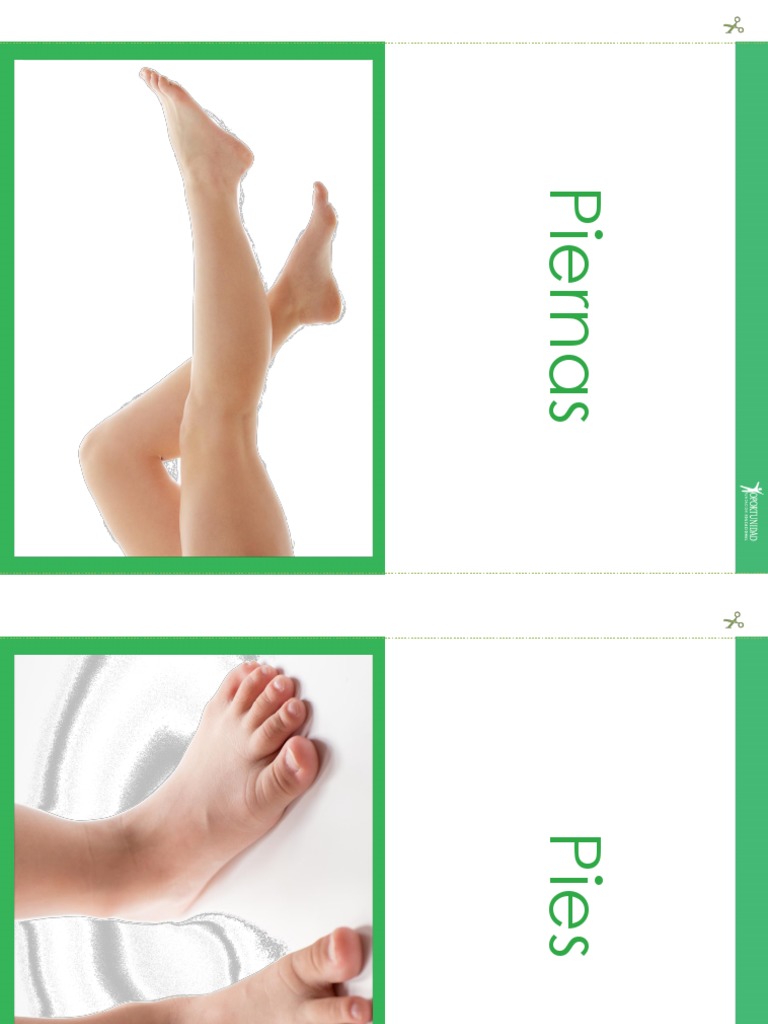 1 Láminas Partes Del Cuerpo Humano Pdf