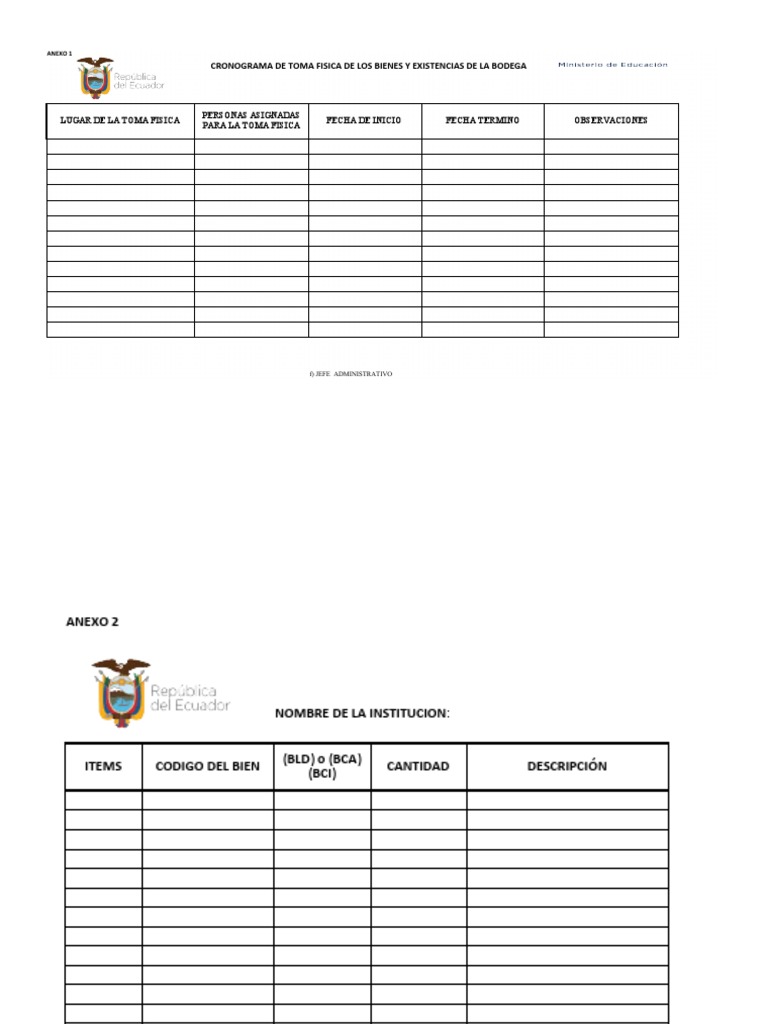 Vacio Formulario Constatacion Fisica | PDF