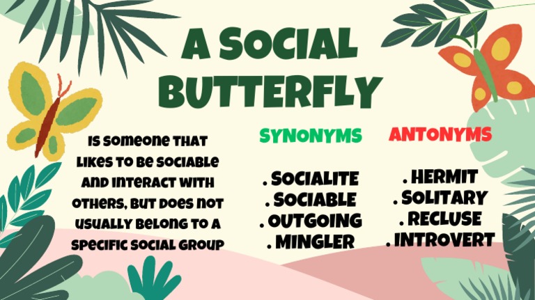 A Social Butterfly | PDF