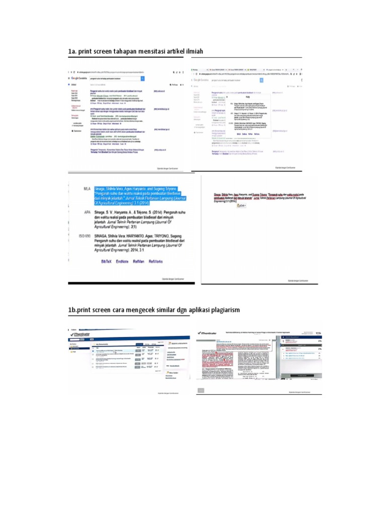 1a. Print scree-WPS Office | PDF | Seni