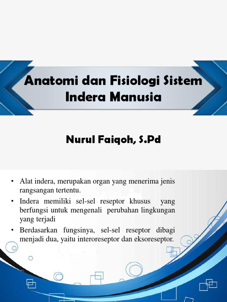 Sistem Indra | PDF
