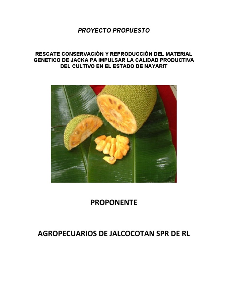 Proyecto Jacka 2013 | PDF | Agricultura | Suelo