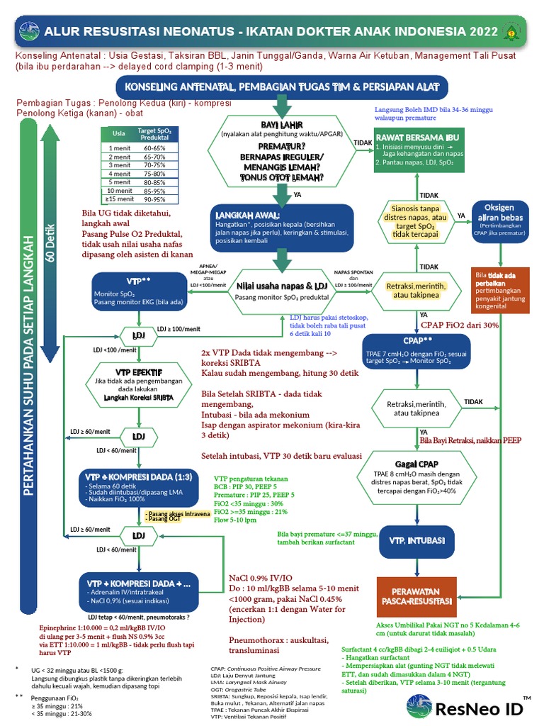 Alur Resusitasi Neonatus 2022 IDAI | PDF