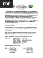 Barangay Disaster Risk Reduction Management Committee (BDRRMC) | PDF ...