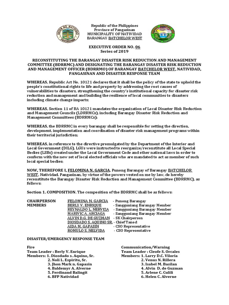 Bdrrmo Eo-06 2018 | PDF | Emergency Management | Disaster Risk Reduction