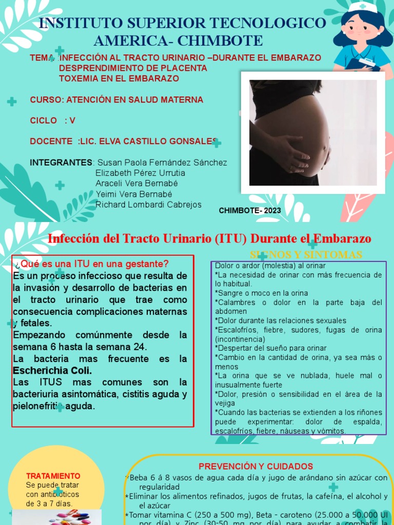 Itus, Desprendimiento de Placenta y Toxemia en El Embarazo | PDF | El ...
