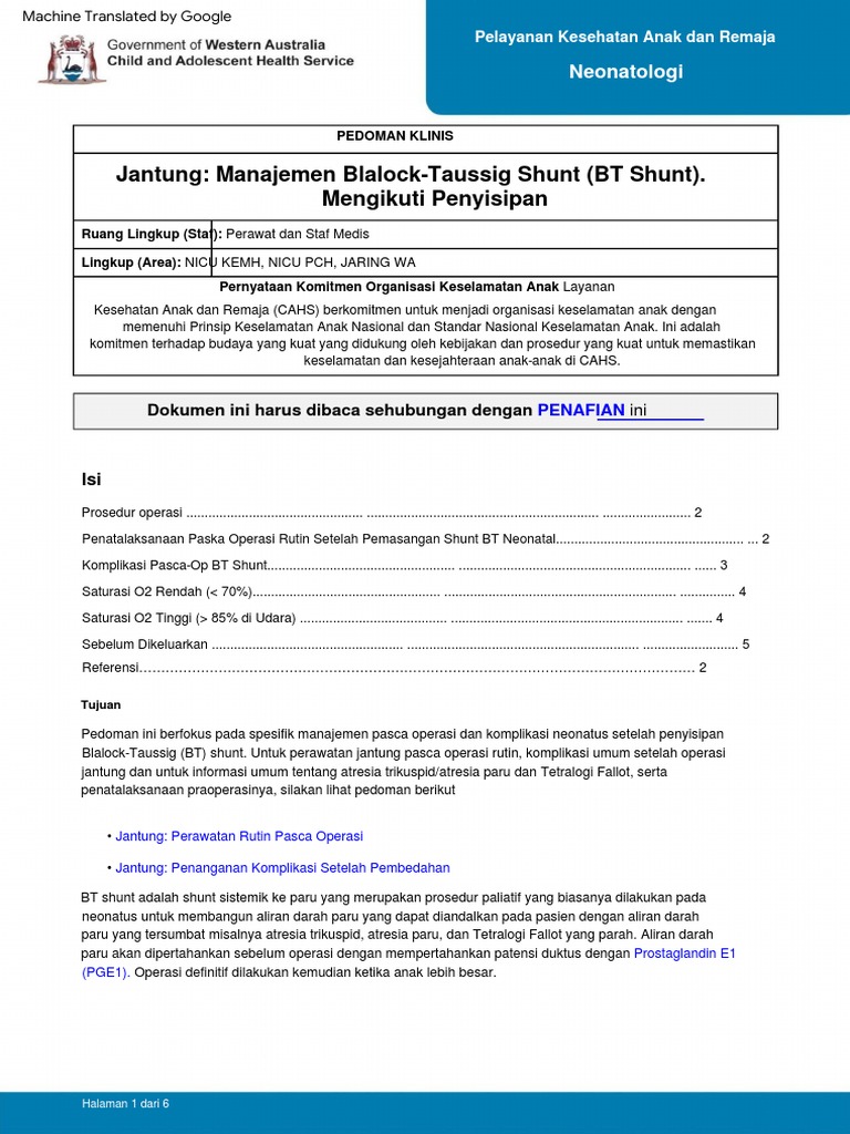 Cardiac Blalock-Taussig Shunt BT Shunt Management Following Insertion | PDF