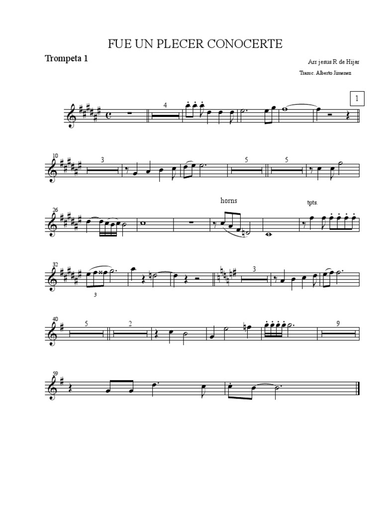 Fue Un Placer Conocerte | PDF