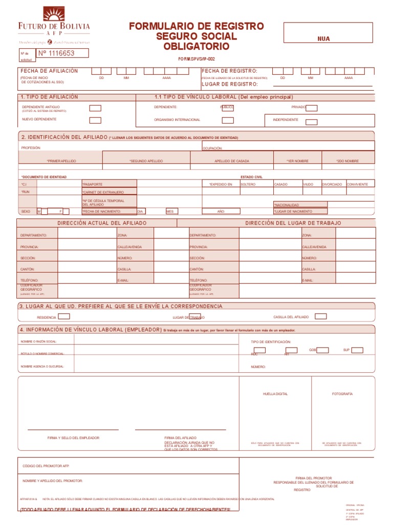 Formulario de Registro Afp | PDF | Gobierno y personalidad