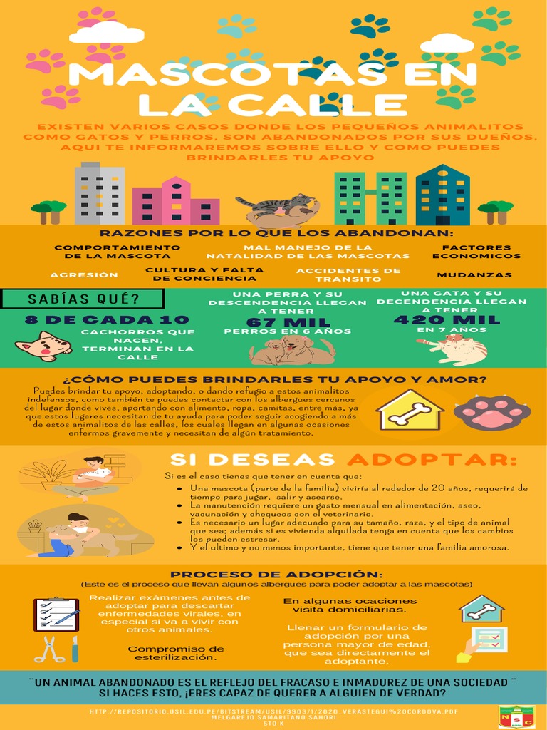 Mascotas en La Calle | PDF | Animales domesticados | Animales y humanos