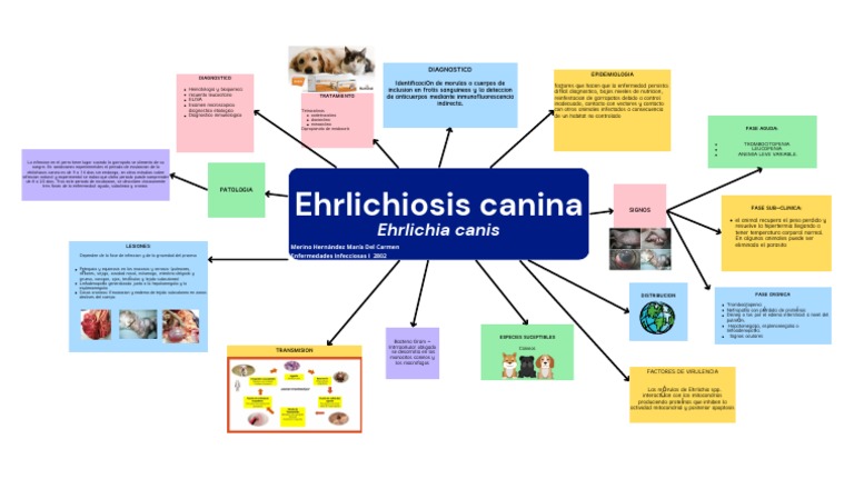 Ehrlichiosis Canina | PDF