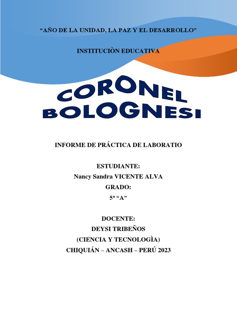 Informe de Practica de Laboratorio | Descargar gratis PDF | Medición | Laboratorios