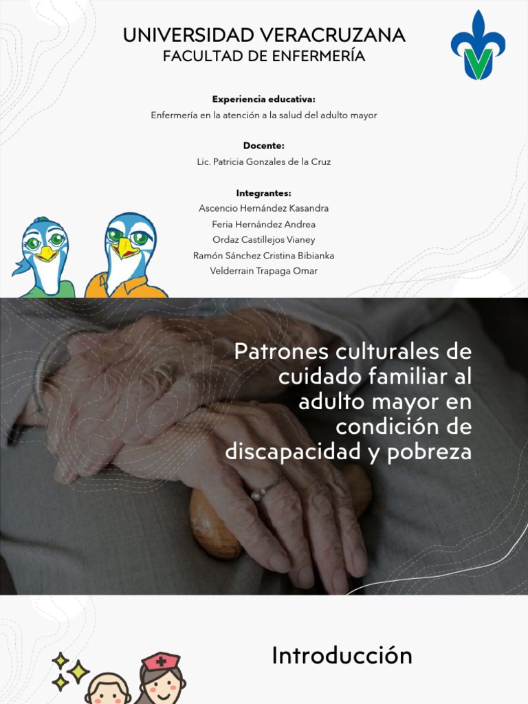 Patrones Culturales Del Cuidado | PDF | Adultos | Vejez
