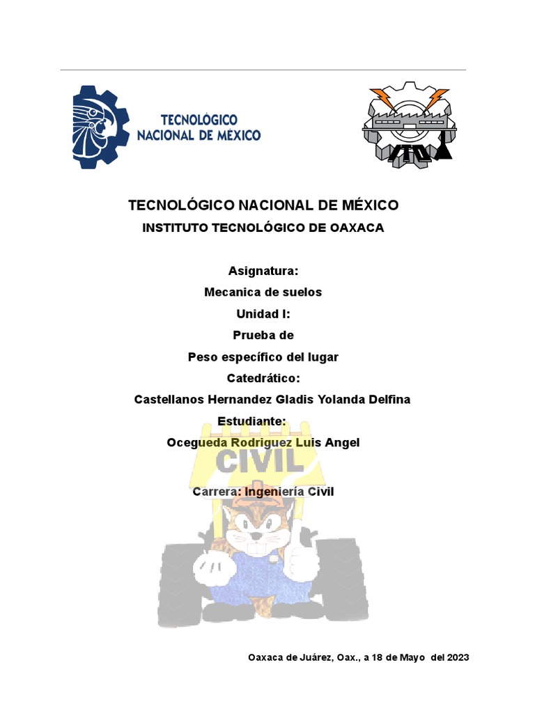 Tareo de peso volumetrico.docx (2) | PDF | Volumen