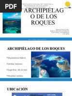 Anatomía del triángulo de Calot y Buddé | PDF | Vesícula biliar | Hígado