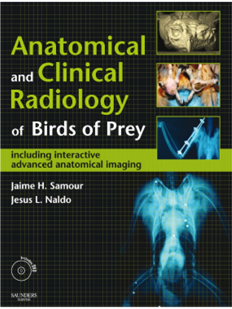 Anatomical Clinical Radiology of Birds of Prey Including Interactive ...