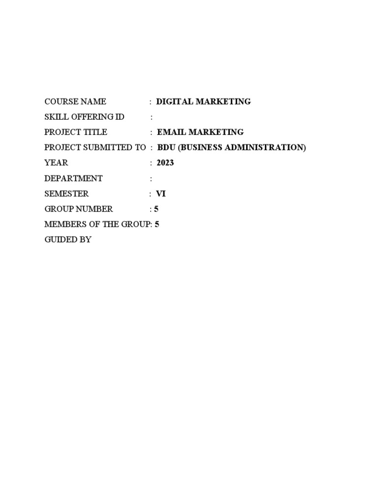 Digital Marketing Project Pdf Marketing Target Audience