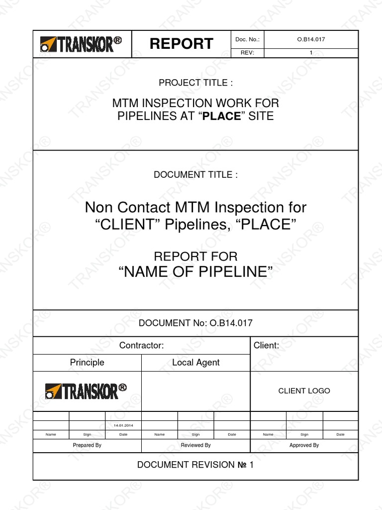 Sample Report MTM | PDF | Strength Of Materials | Nondestructive Testing
