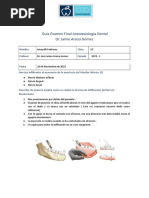 Proceso Alveolar | PDF | Hueso | Anatomía
