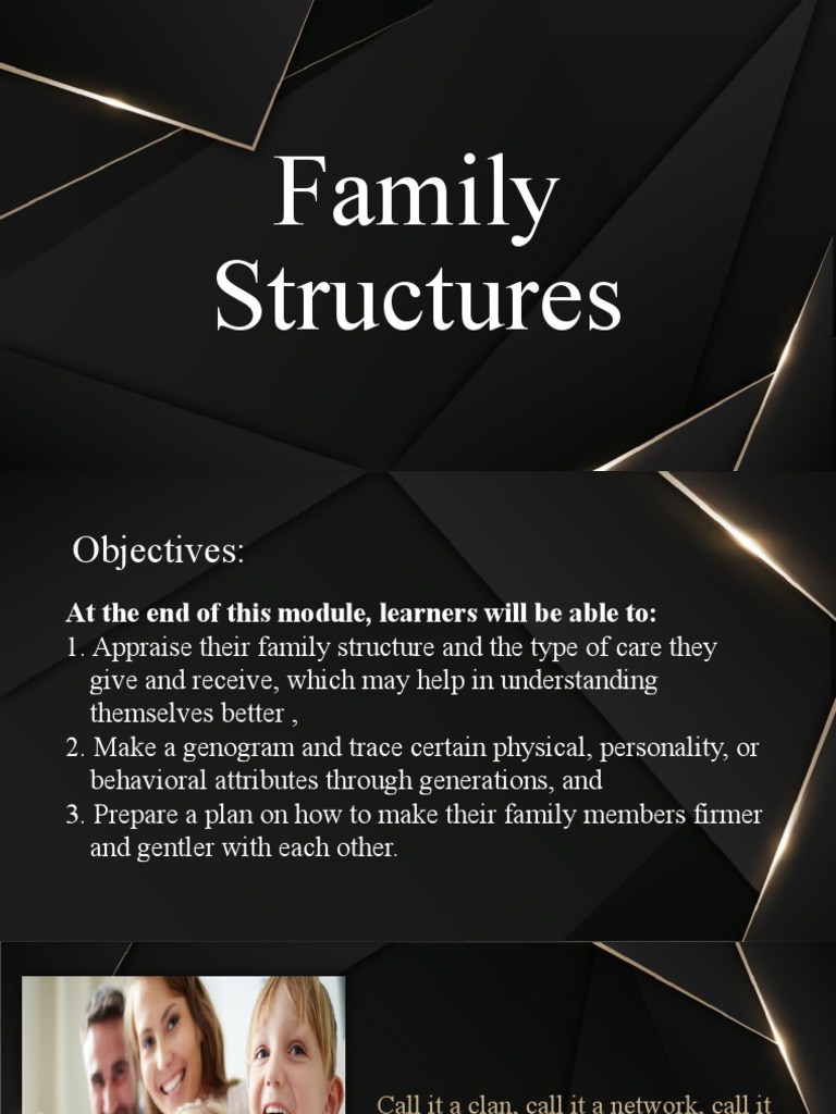 Lesson 19 Family Structures and Legacies | PDF | Family | Stepfamily
