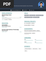 MDM Monthly Report Format Template | PDF