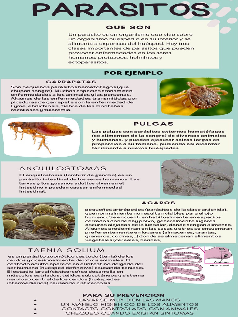 Parasitos Pdf Microbiología Medicina Clinica