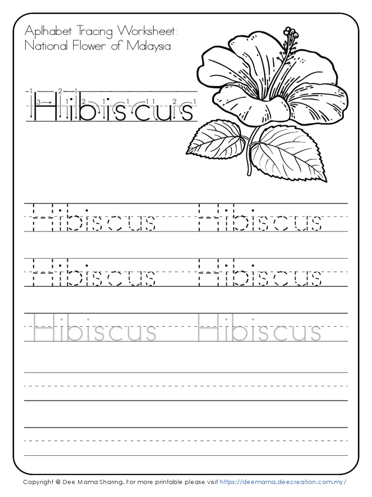 Worksheet - Word Tracing - Hibiscus | PDF