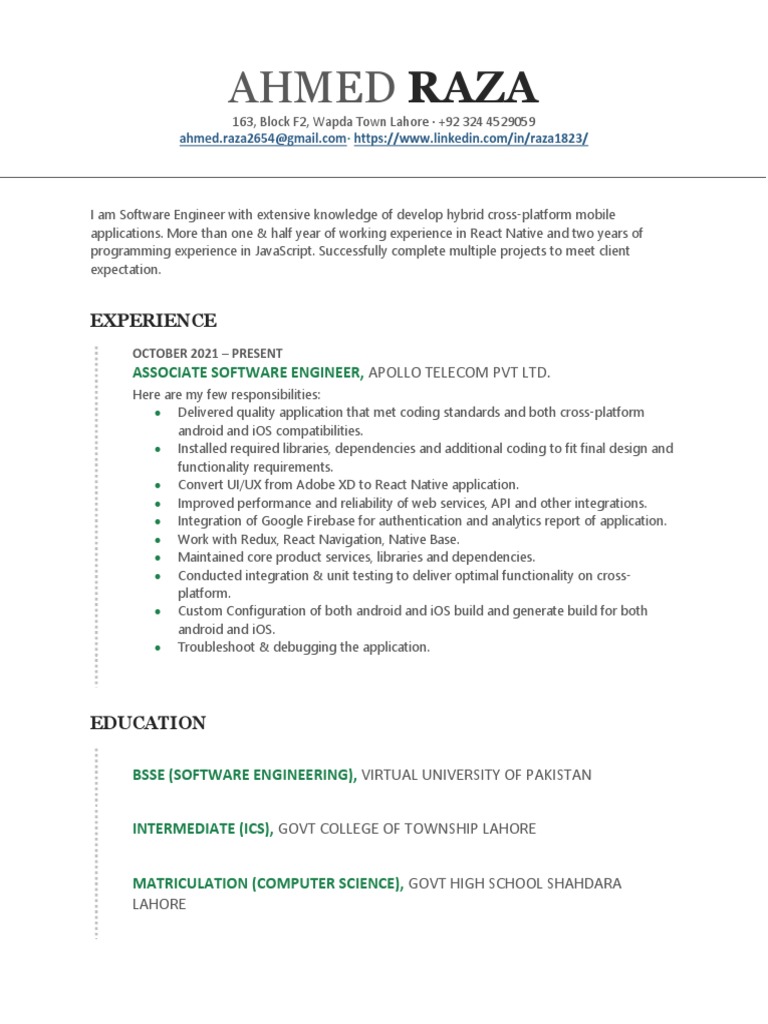 Ahmed Raza Resume | PDF