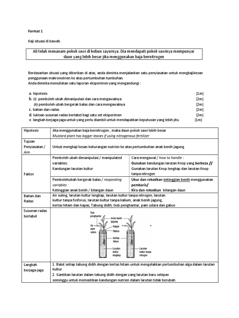 Format Baru Esei - Contoh | PDF