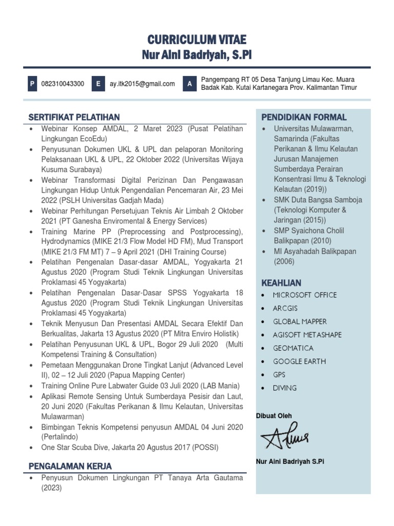 CV & SERTIFIKAT NUR AINI BADRIYAH | PDF