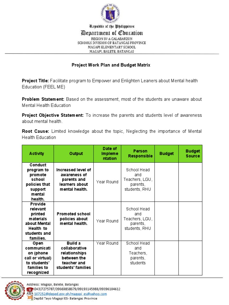 Project Work Plan and Budget Matrix | Download Free PDF | Mental Disorder | Health Education