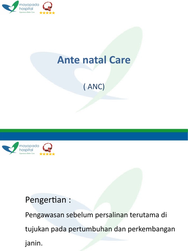 Anc PPT Fix | PDF