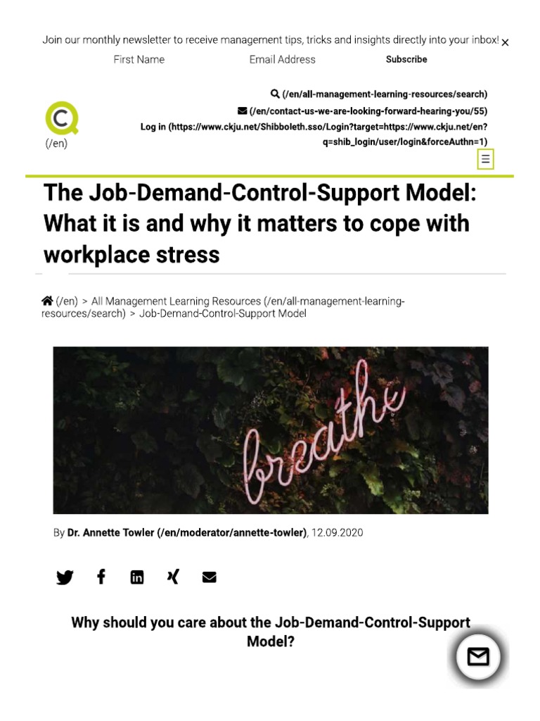 The Job-Demand-Control-Support Model | PDF