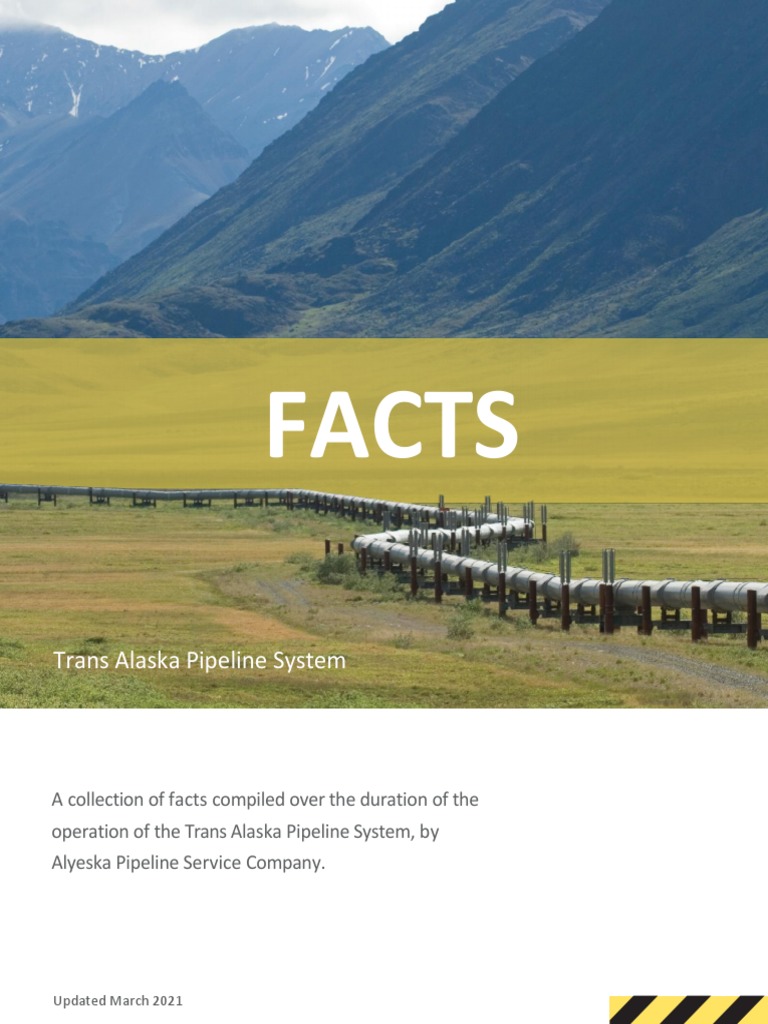 Fact Book March 2021 | PDF | Pipeline Transport | Oil Tanker