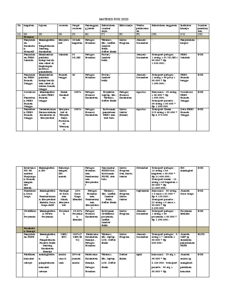 Matriks RUK 2020 | PDF