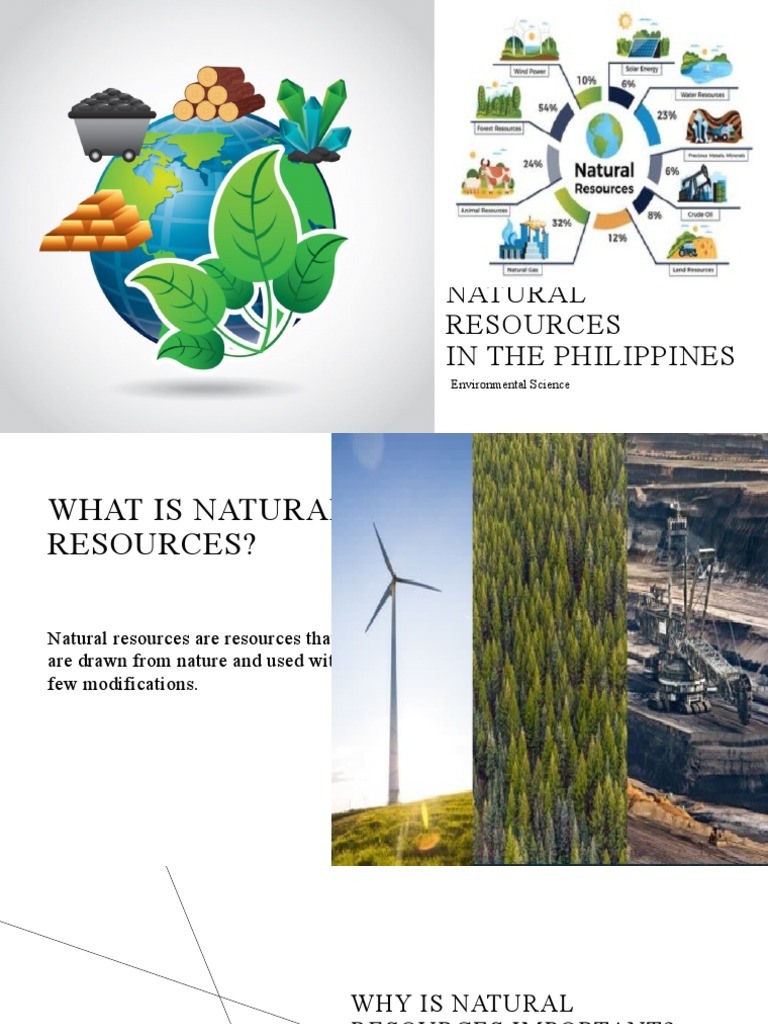 Natural Resources in The Philippines Presentation | PDF | Fuels ...