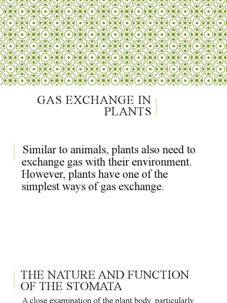 Gas Exchange in Plants | PDF | Stoma | Leaf