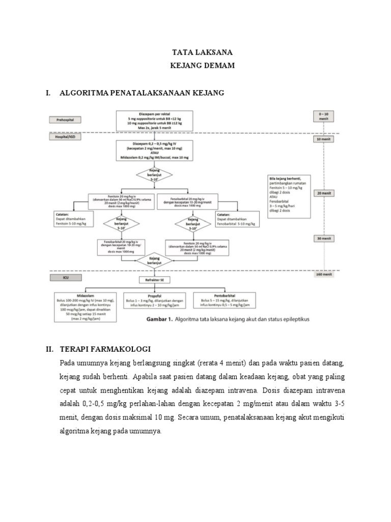 Penatalaksanaan Kejang Demam pada Anak | PDF