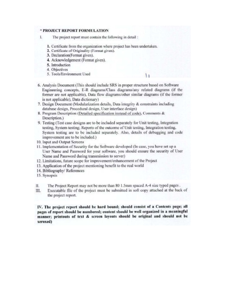 Project Guidlines Pdf
