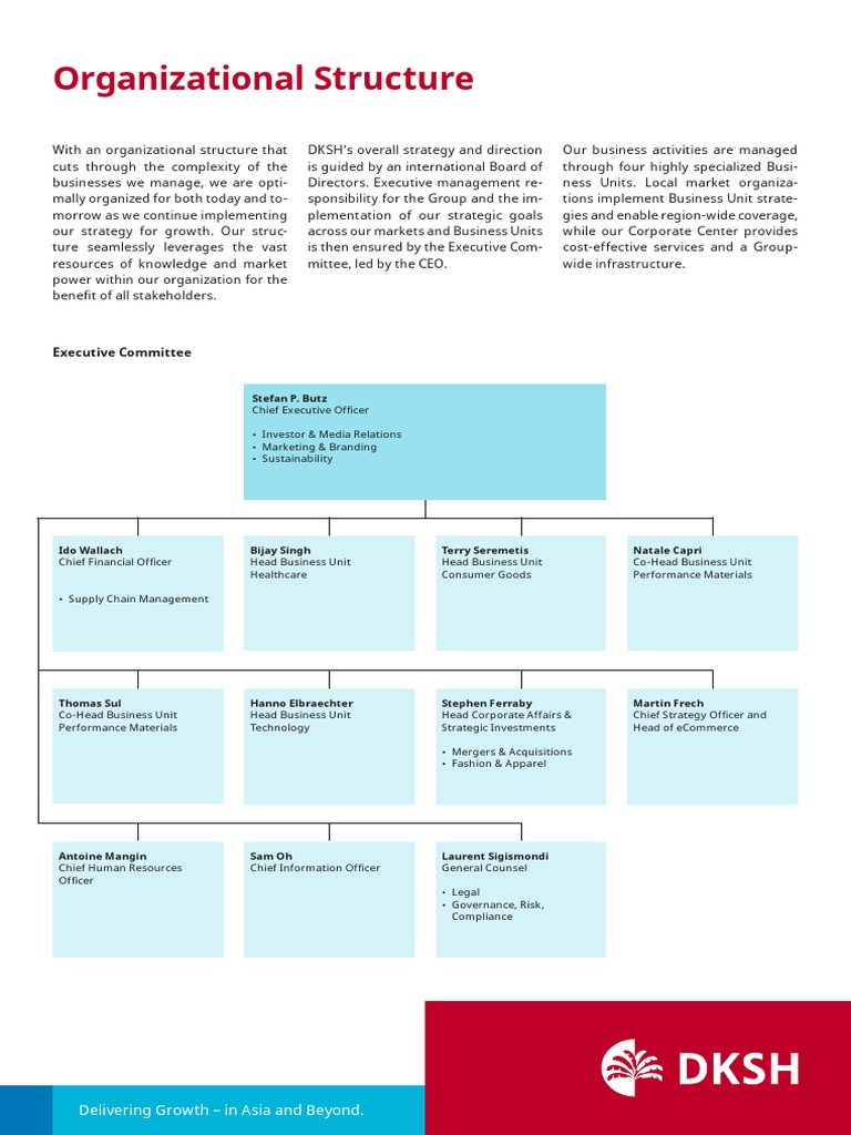 Org Structure Factsheet | PDF | Business | Economies