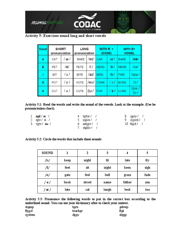 Vowel Sounds Exercises for Students | PDF | Human Voice | Phonology
