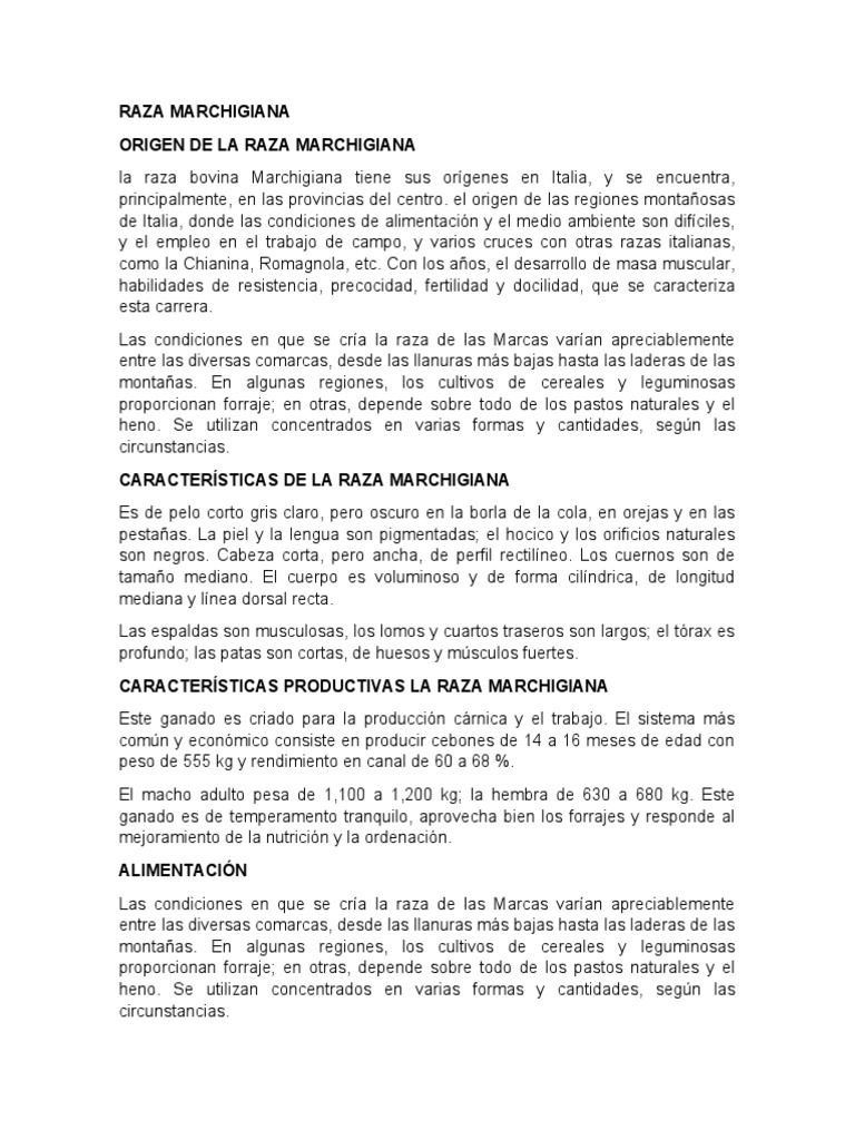 Raza Marchigiana: Origen y Características | PDF