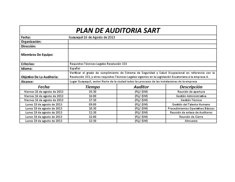 Plan de Auditoria Sart | PDF