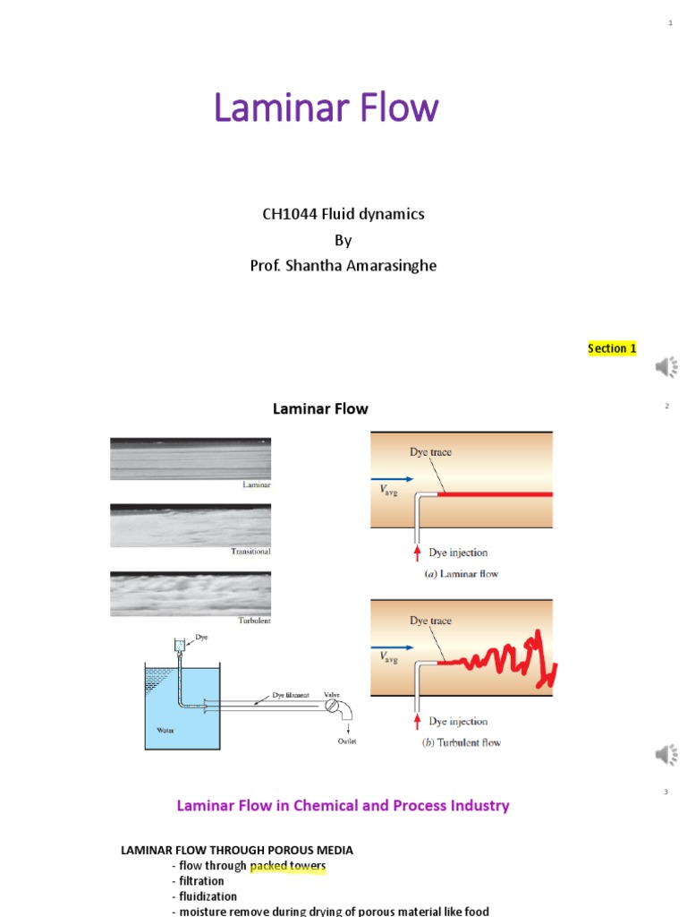 Laminar Flow Ppt1 | PDF | Fluid Dynamics | Shear Stress