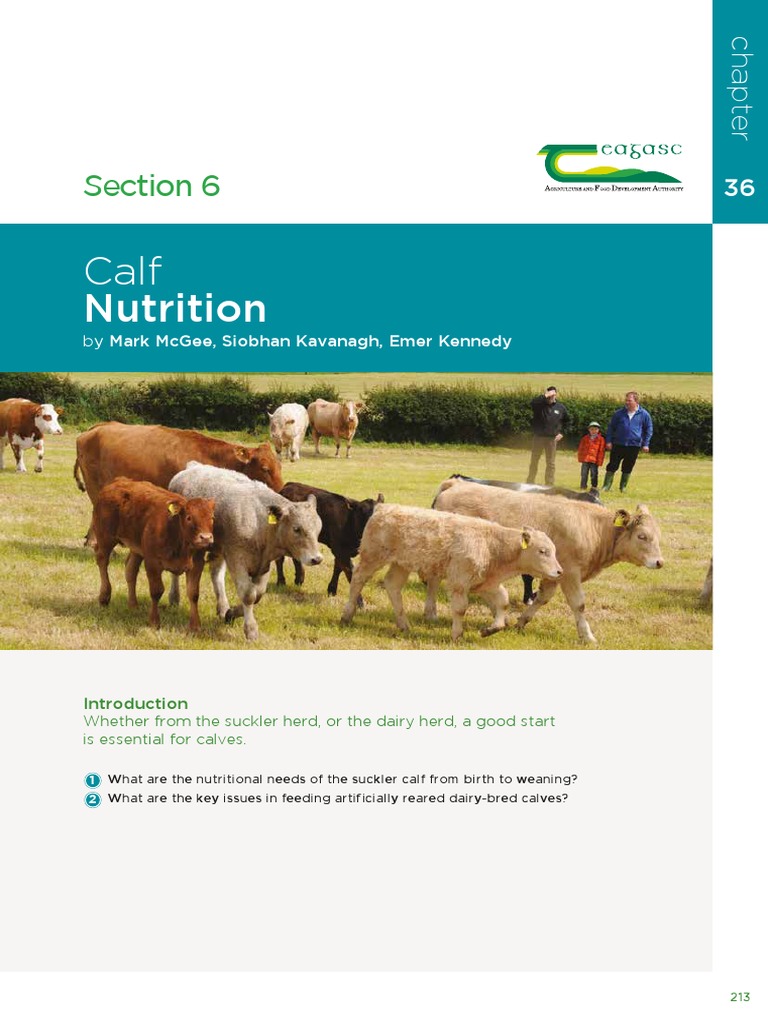 Calf Nutrition | PDF